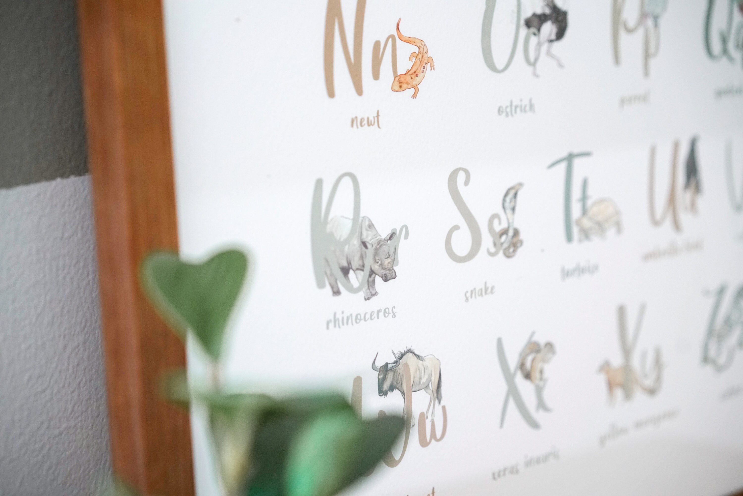 Safari Alphabet Poster/16x20 Print/homeschool - Etsy