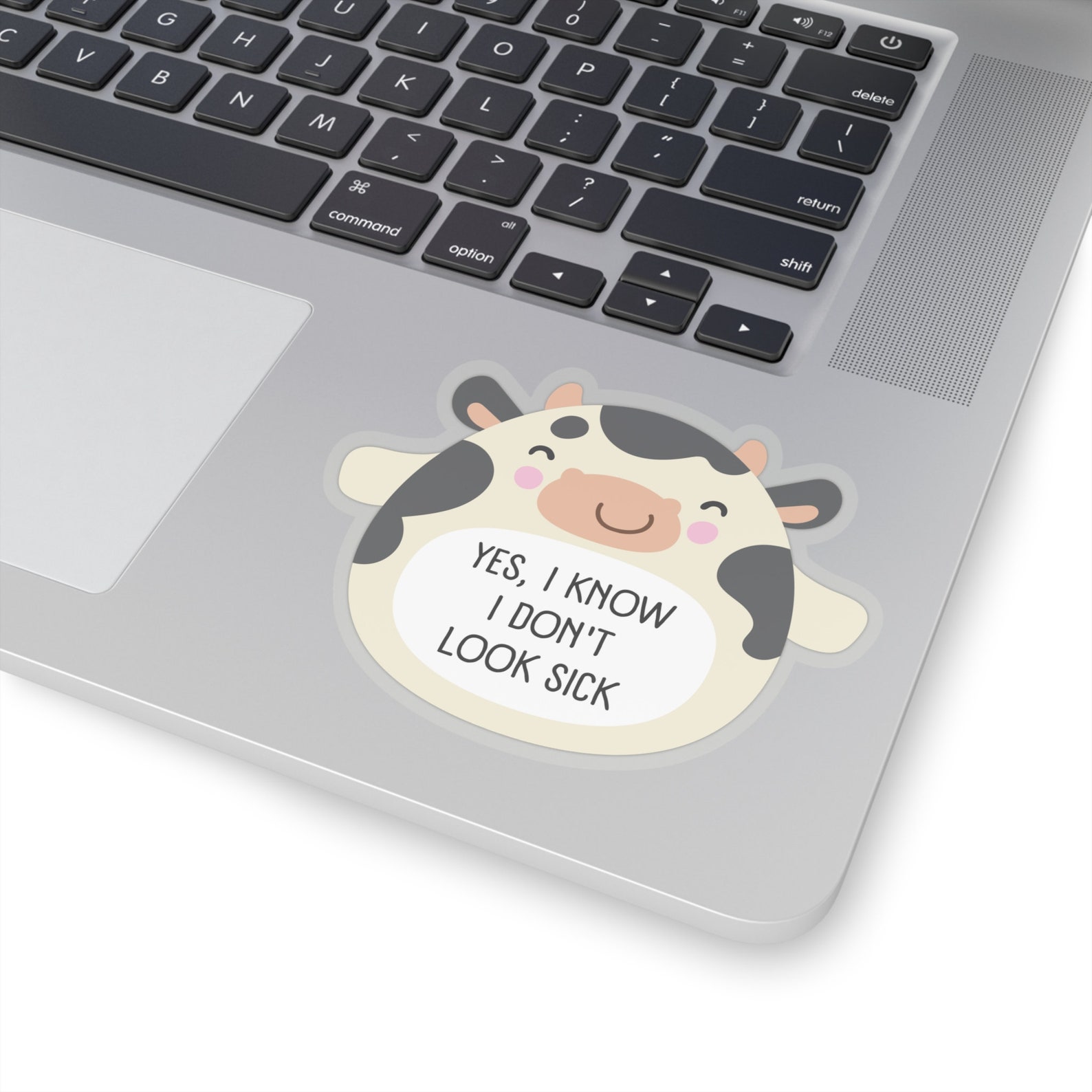 Chronic Illness Sticker, Still Sick, Mobility Aid Sticker, Flare Day ...
