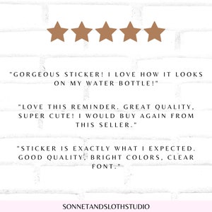 BPD Sticker, DBT Skills, BPD Warrior, Borderline Gift, Personality ...