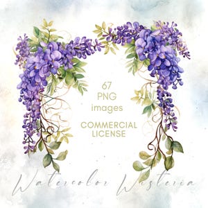 Wisteria Clipart, Watercolor Floral PNG, Digital Download for Crafts ...