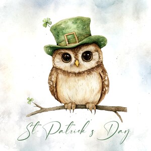 St. Patrick's Day Clipart Bundle - Fun Lucky Leprechaun PNG - Pot of ...