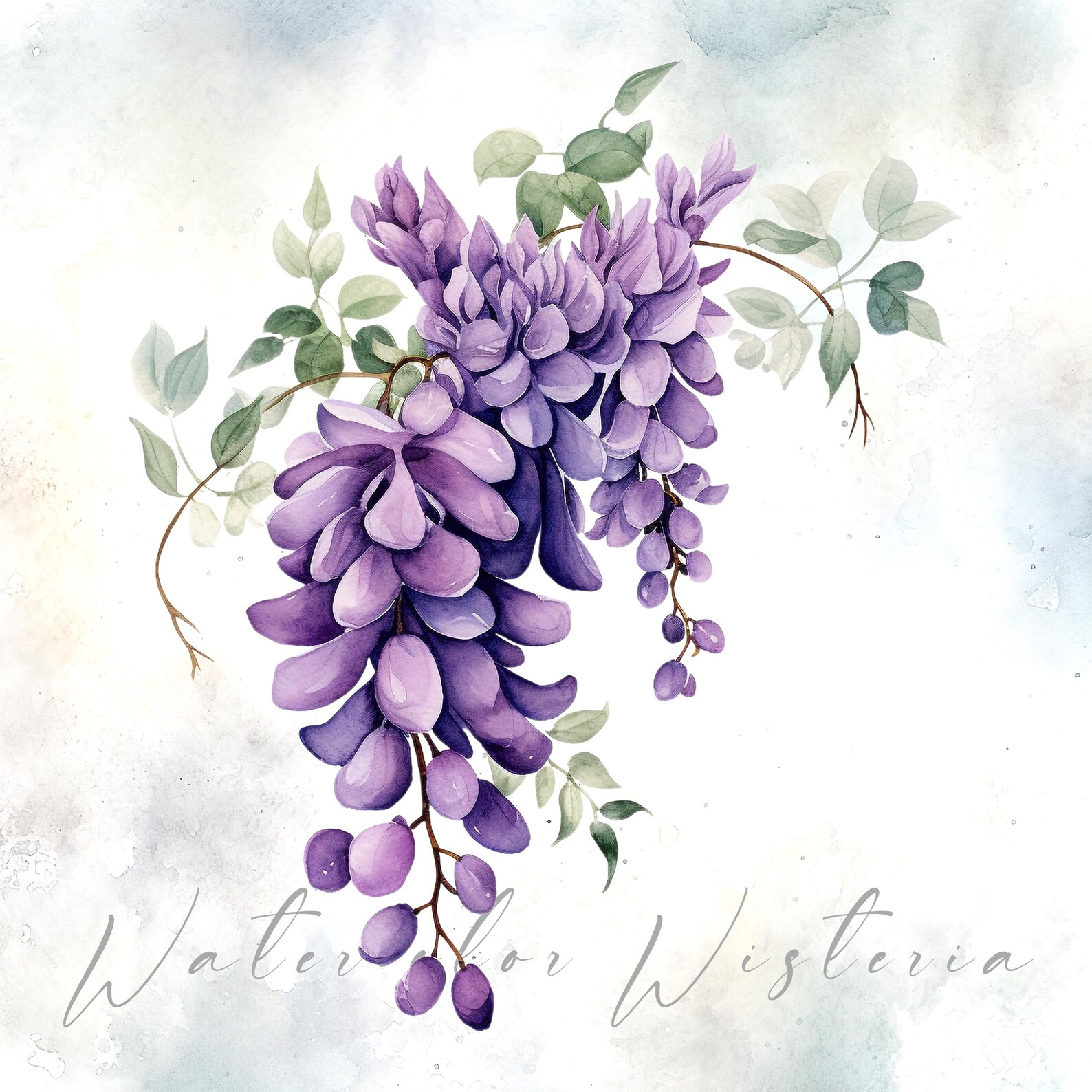 Wisteria Clipart, Watercolor Floral PNG, Digital Download for Crafts ...