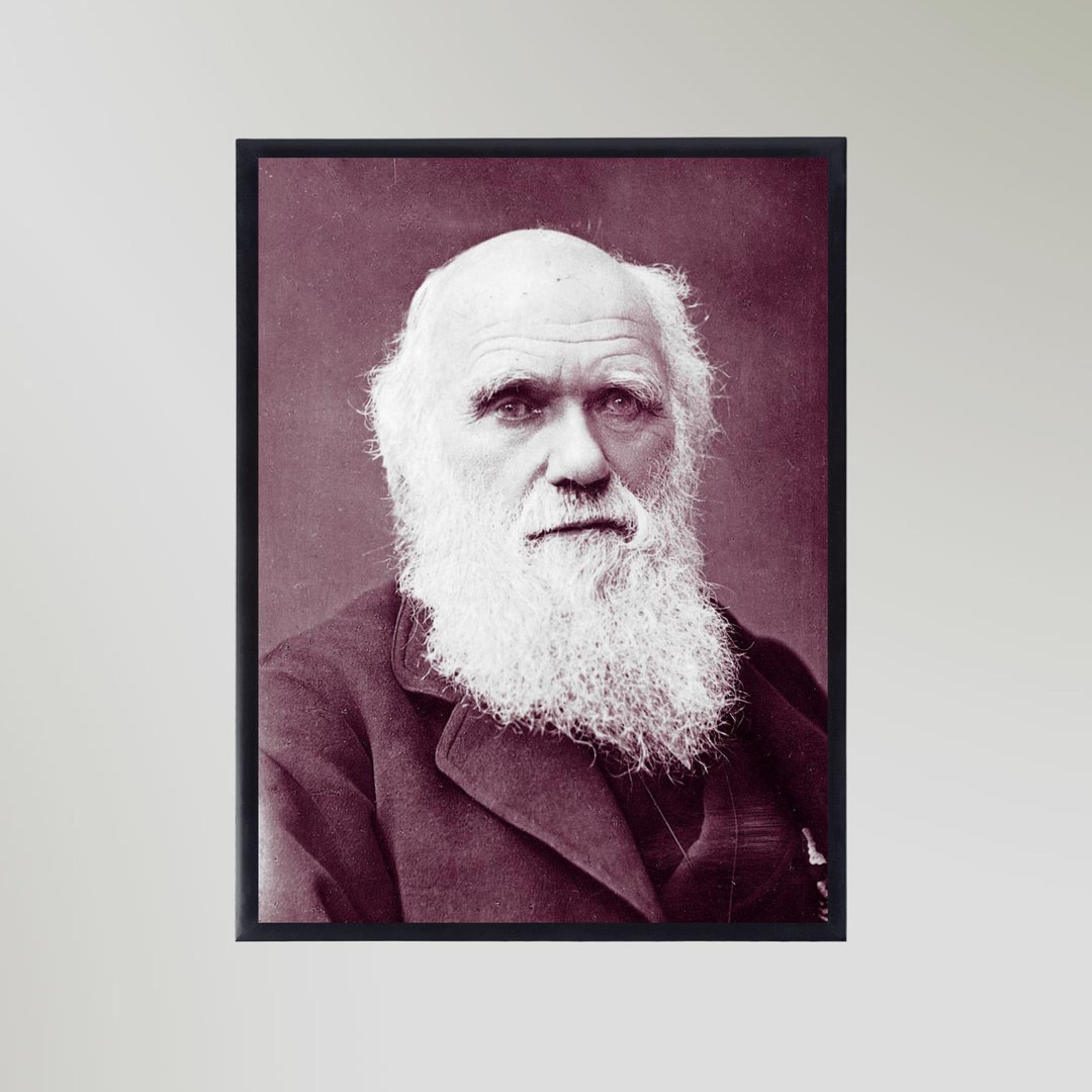 Charles Darwin (1881) Portrait Print Poster Picture Gift in Various ...