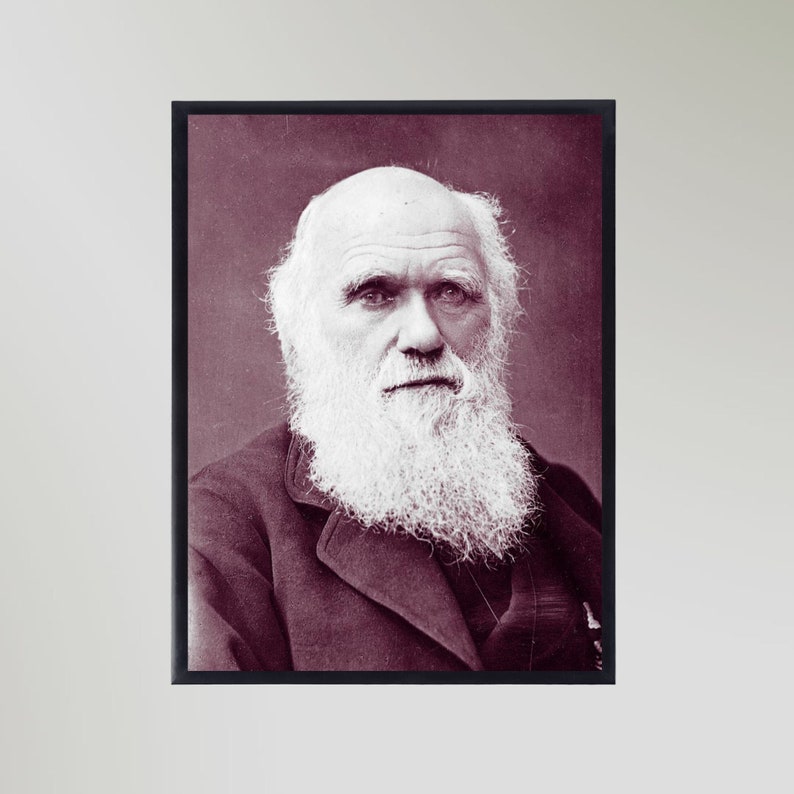 Charles Darwin 1881 Portrait Print Poster Picture Gift in Various Sizes ...