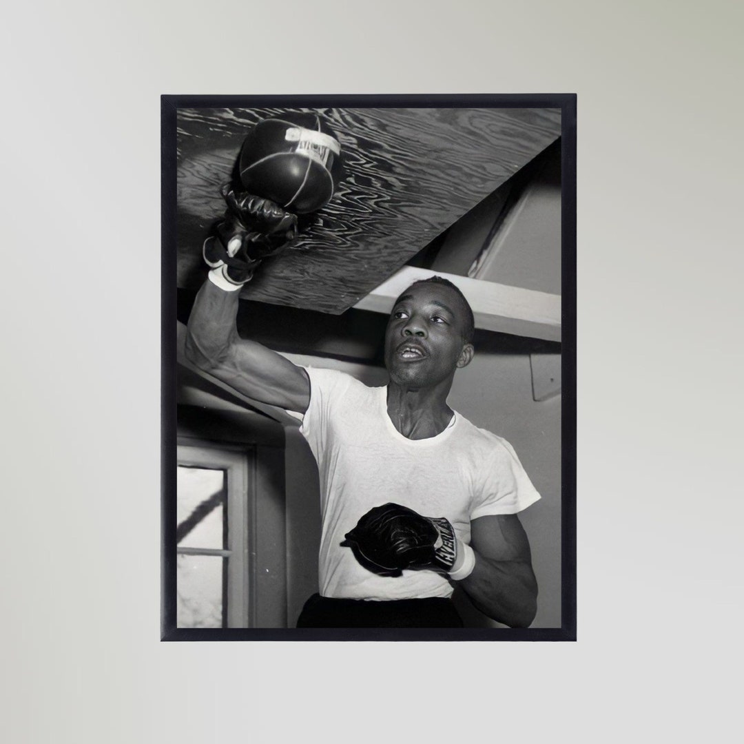 Sandy Saddler Print Poster Picture Gift in Various Sizes Unframed - Etsy