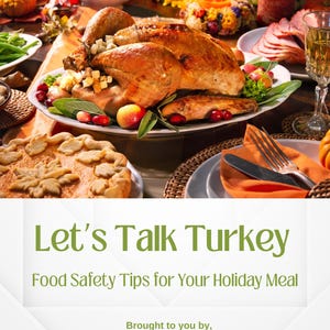 Let's Talk Turkey, Food Safety Tips for Your Holiday Meal - Etsy