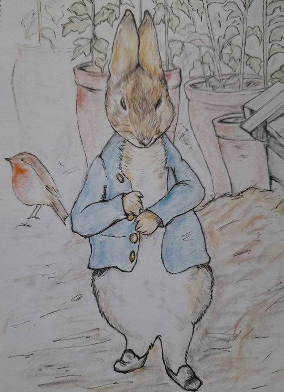 Peter Rabbit Drawing Hand Drawn Unique Picture Framed for a - Etsy