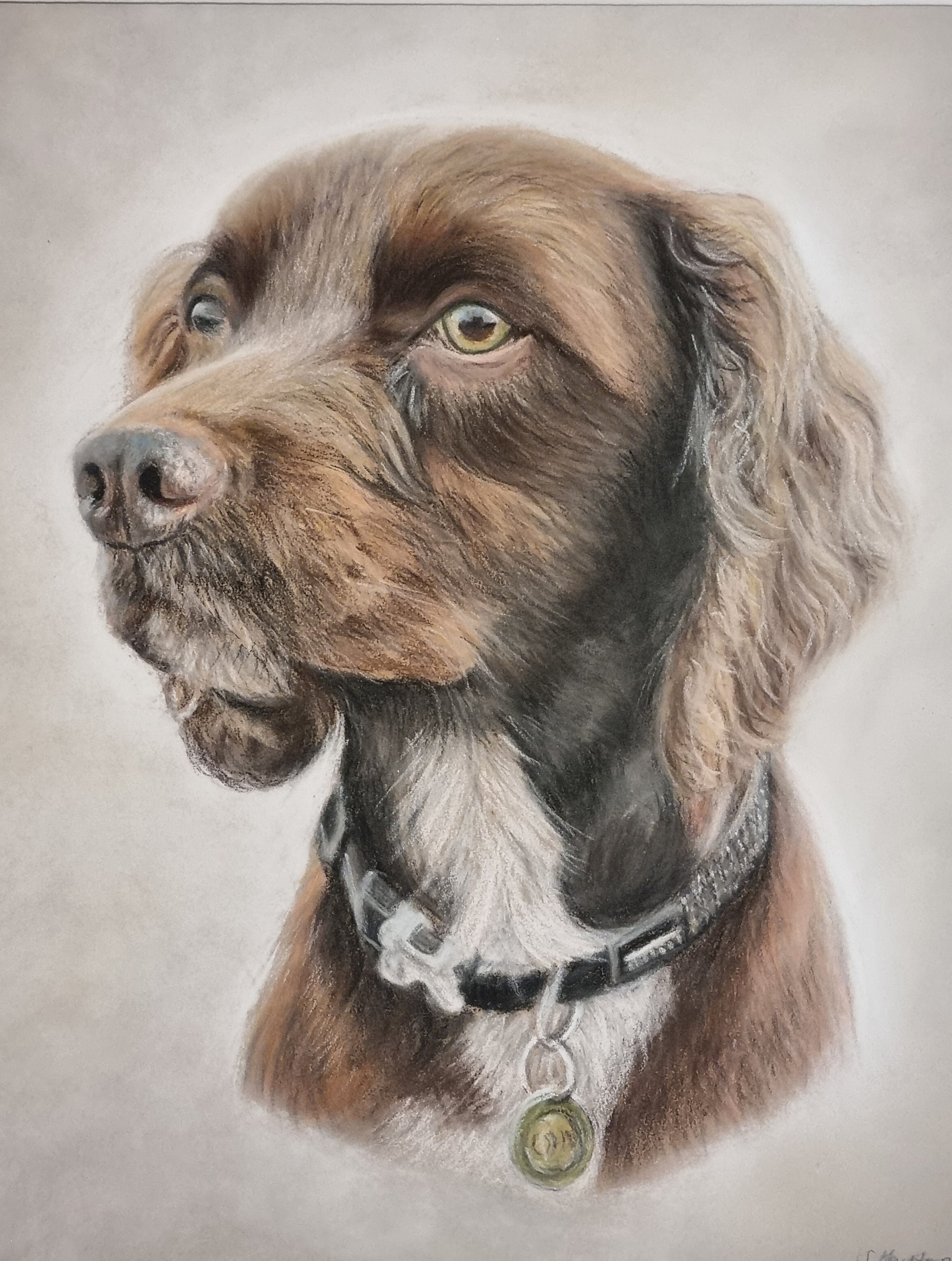 Custom Hand Drawn Pet Portrait Dog Portrait Cat Portrait Memorial Pet ...