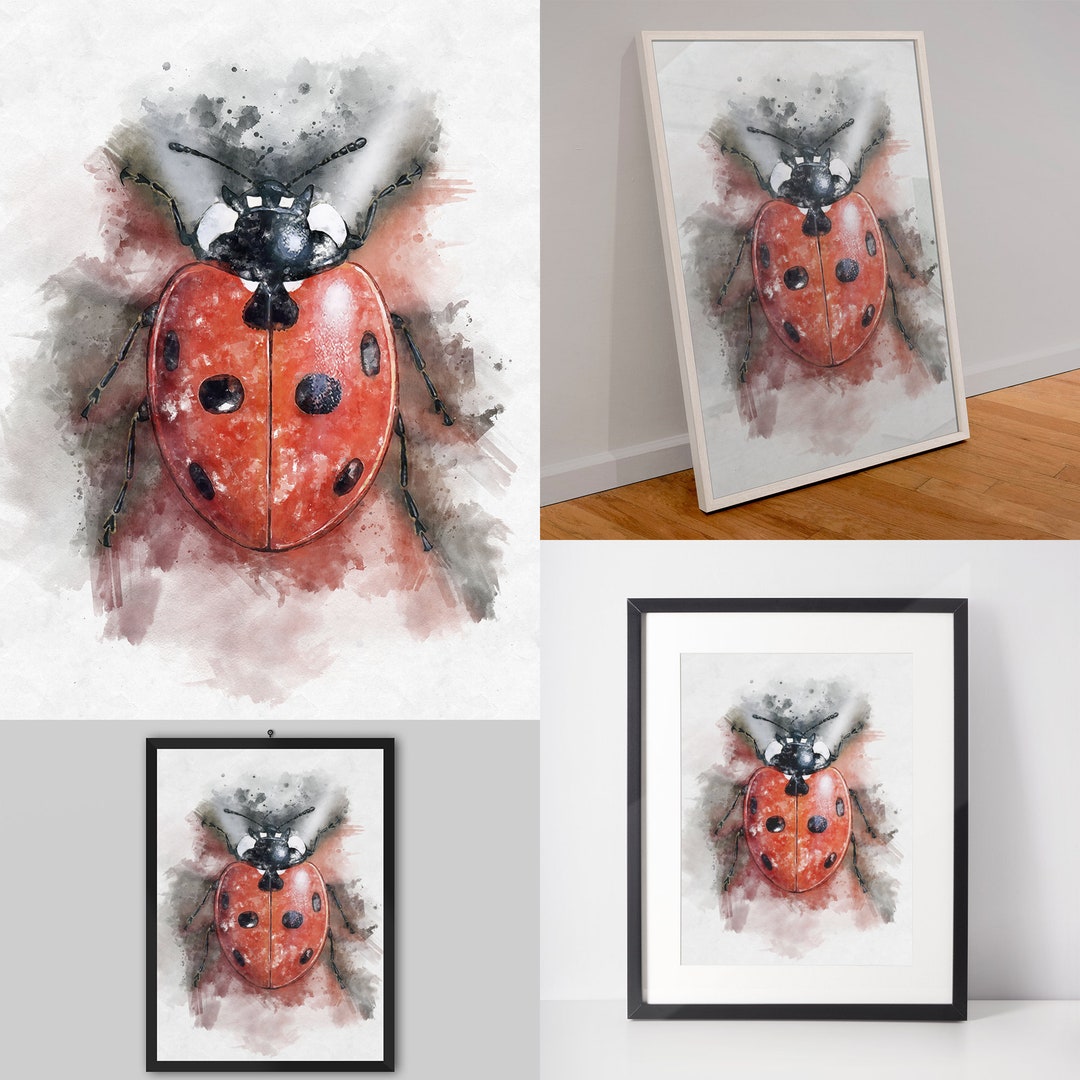 Insects Watercolour Painting Prints Ladybird Beetle Bumblebee Butterfly ...
