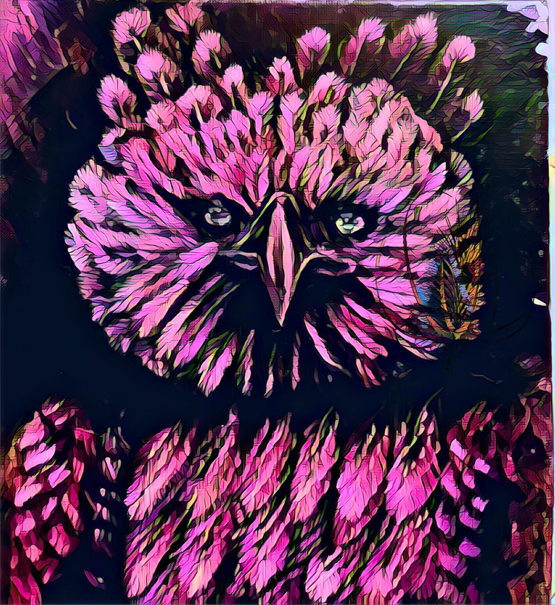 Pink Harpy Eagle 5 X 5 Mounted Photo - Etsy