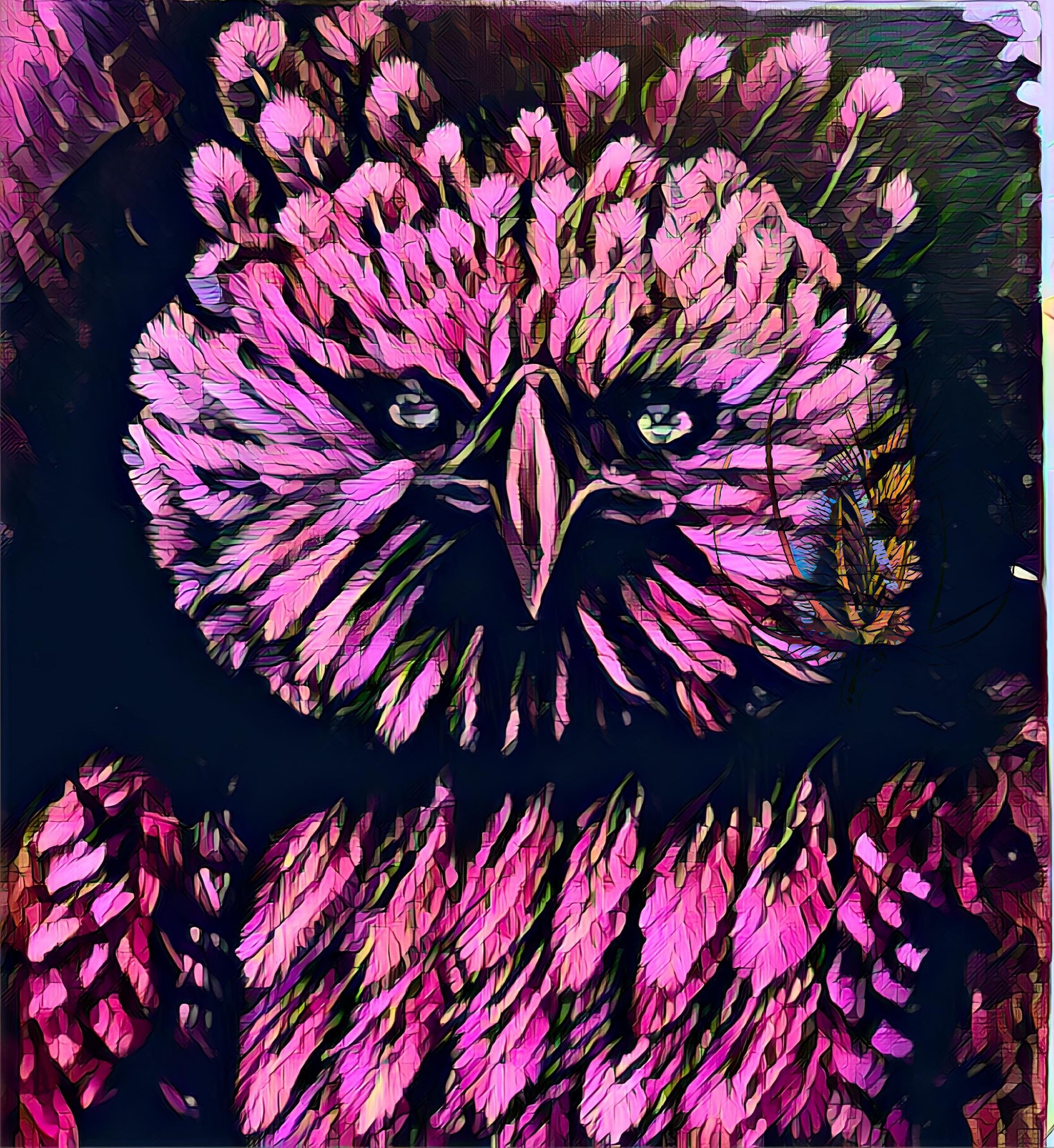 Pink Harpy Eagle 5 X 5 Mounted Photo - Etsy