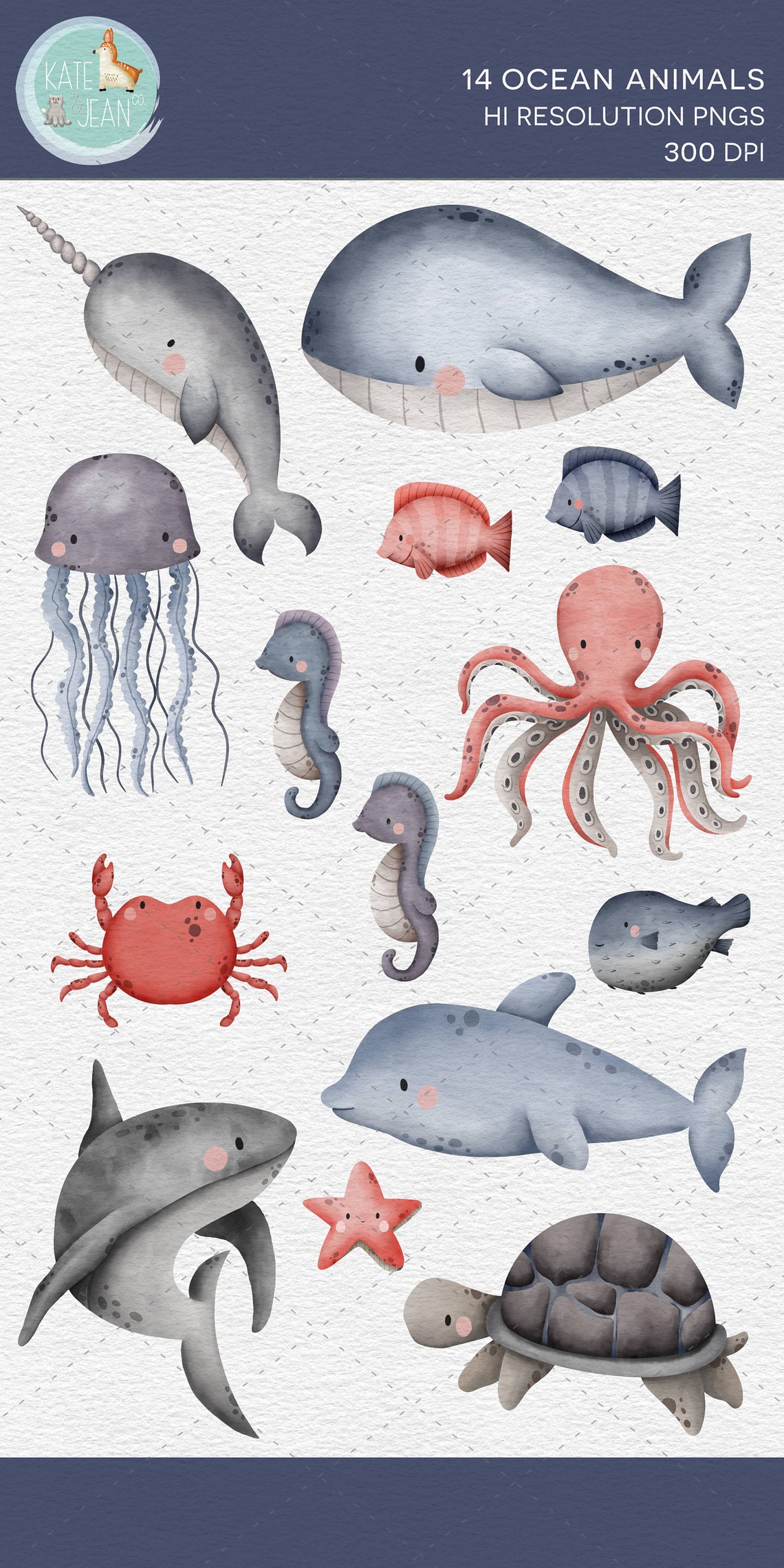 Watercolor Ocean Animals Clipart Under the Sea Sea Animals - Etsy