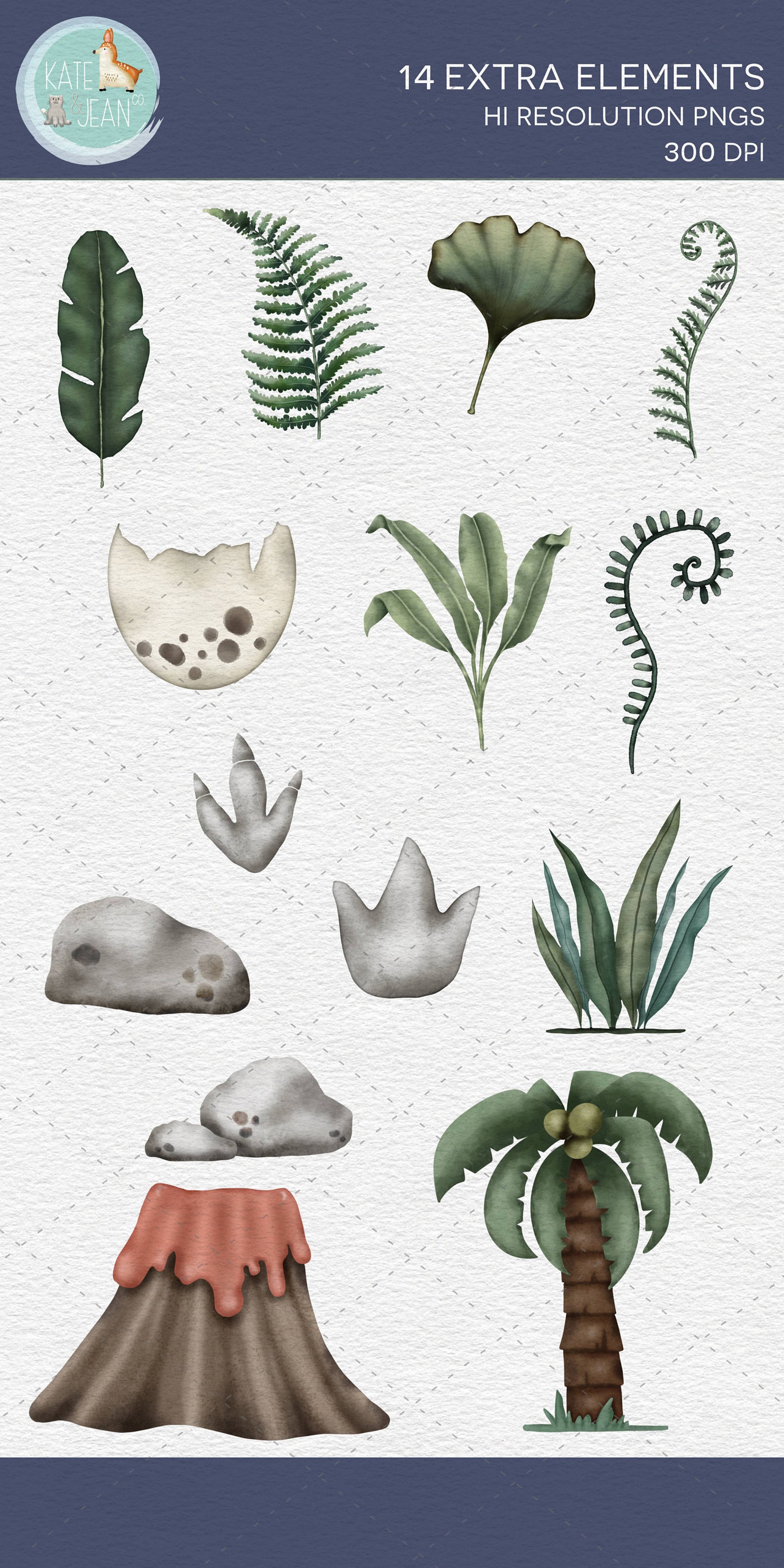 Dinosaur Watercolor Clipart Neutral Dino Clipart Cute - Etsy