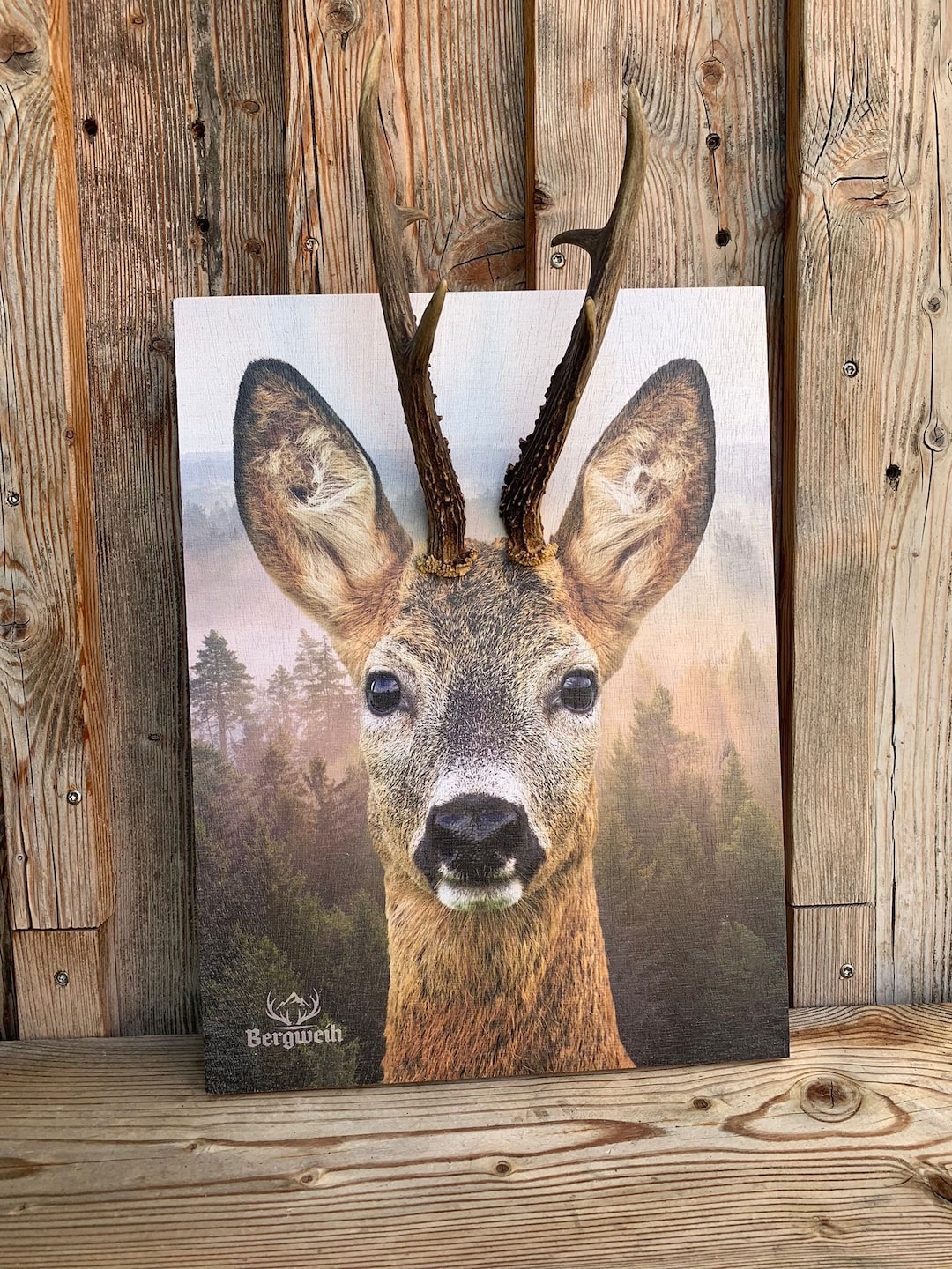 Roebuck Picture Antler Picture Wooden Panel - Etsy