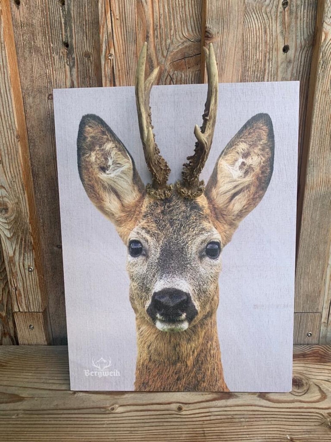 Roebuck Fritzi Background Silver - Etsy