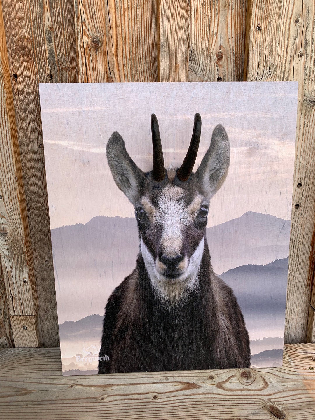 Gamsbock Bild Geweihbild Gams Holzbild Geweih - Etsy.de