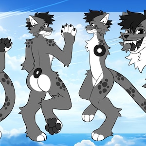 Feline Reference Sheet Base - Instant Download - Etsy