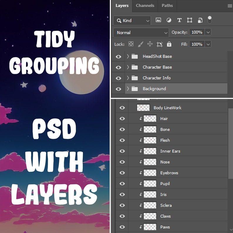 Canine Base Reference Sheet Instant Download - Etsy Canada