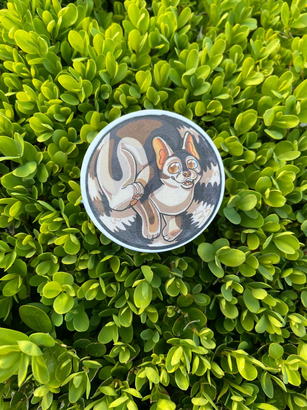 Ringtail Ball Waterproof Sticker-conservation Series - Etsy