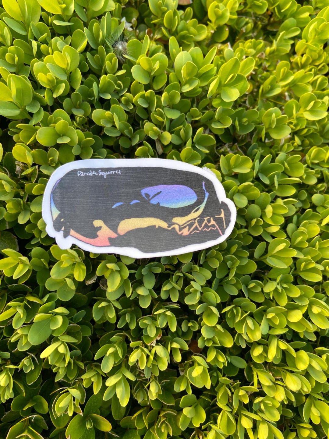 Giant Otter Skull Waterproof Sticker-conservation Series - Etsy