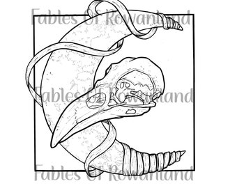 Sun and Moon Adult Coloring Page - Etsy