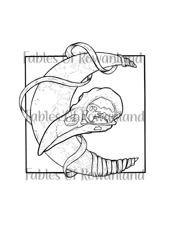 Bird Skull and Moon Adult Dark Fantasy Coloring Page - Etsy