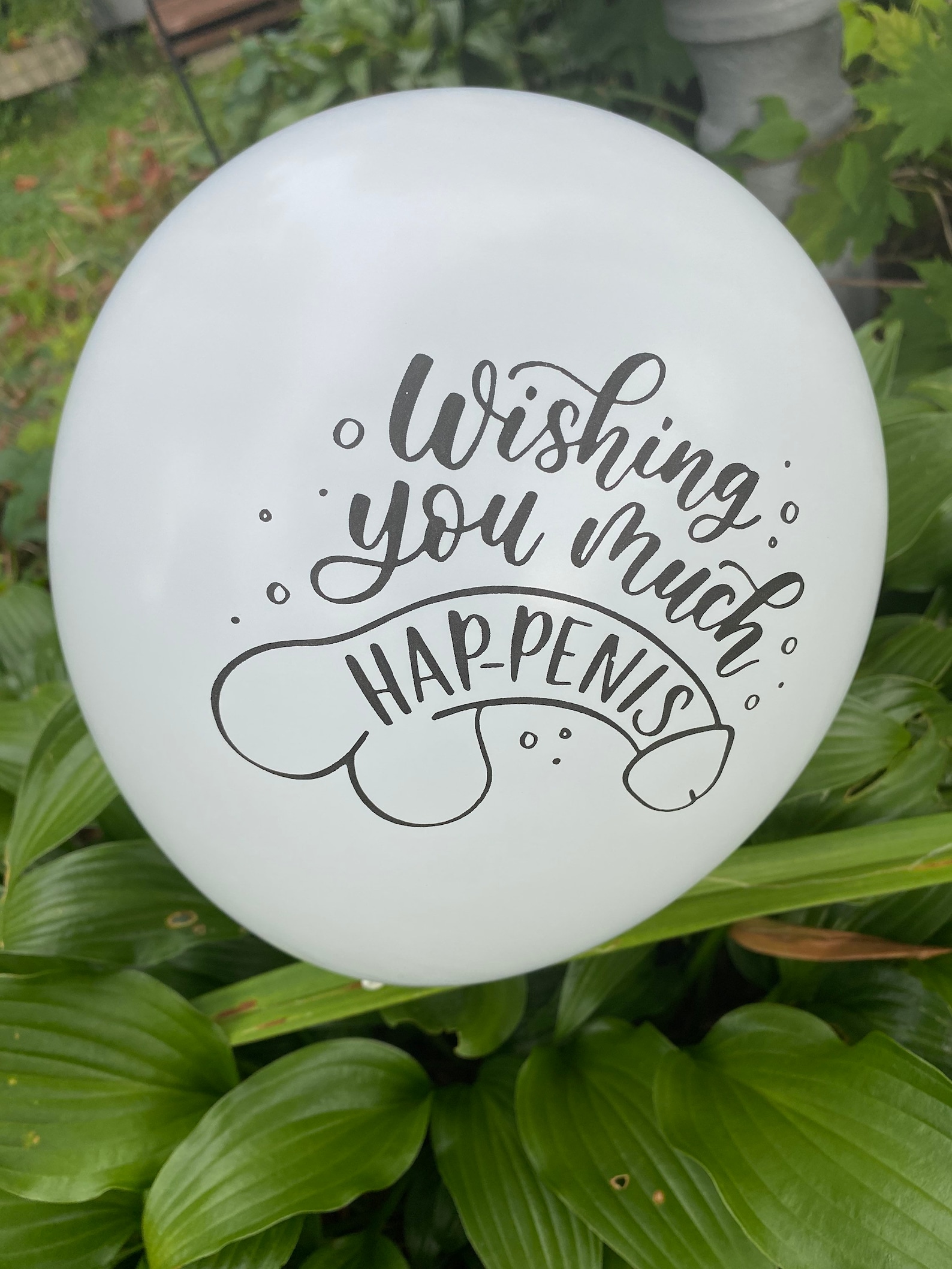 Wishing You Much Hap-penis Balloons White 12 Inch set of - Etsy