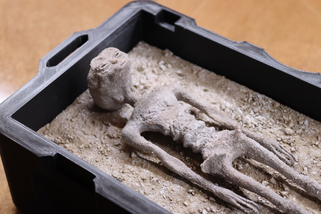 Mummified Alien Corps Mexico - Etsy