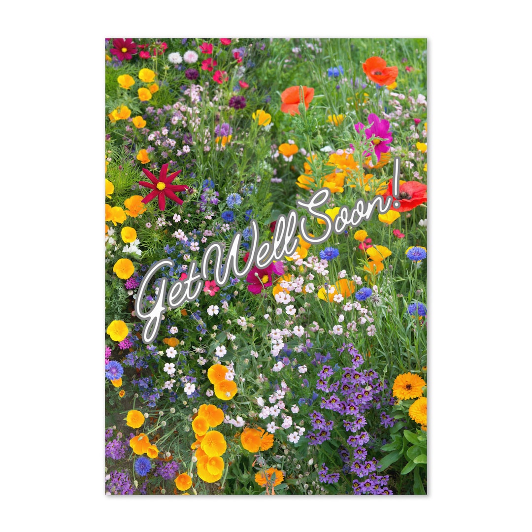 Get Well Soon Greeting Card – Blank Inside – Send Healing Vibes ...