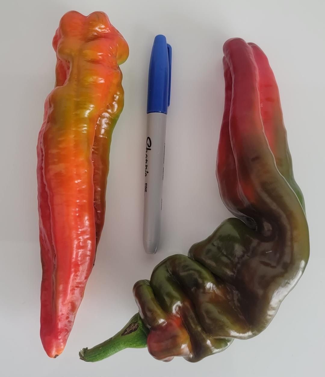 Ros De Mallorca Sweet Pepper Seeds - Etsy