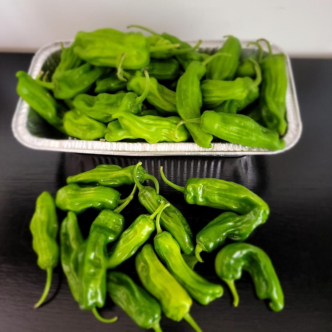 Japanese Shishito Seeds Japanese Garden Pepper Plant Mild Heat Pepper ...