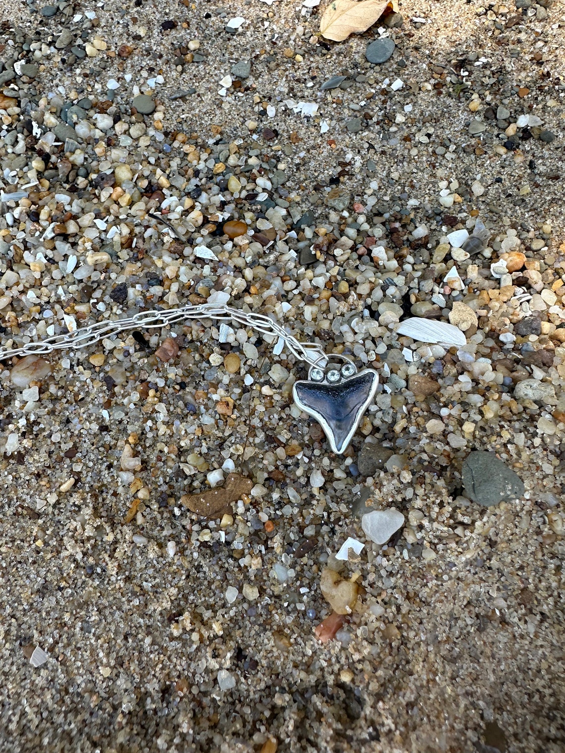 Blingy Bull Shark Tooth Necklace - Etsy