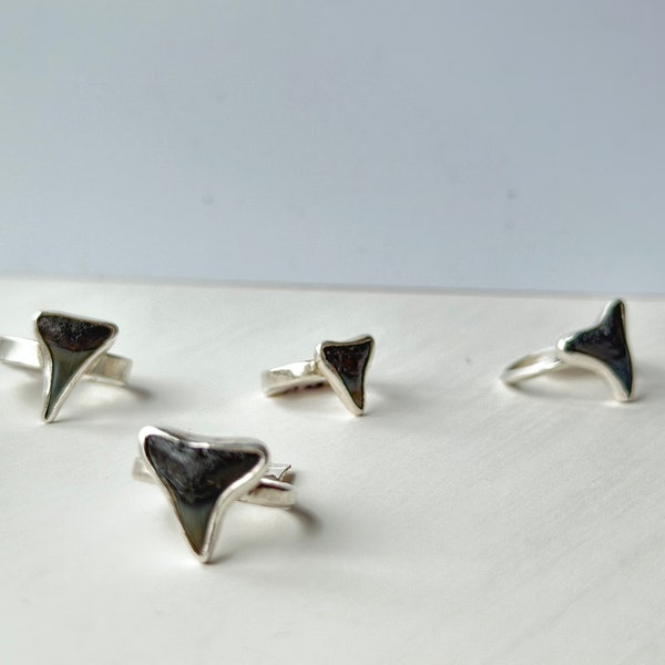 Shark Tooth Ring - Etsy