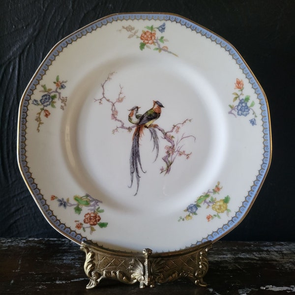 Haviland Limoges Bird Theodore Plate - Etsy