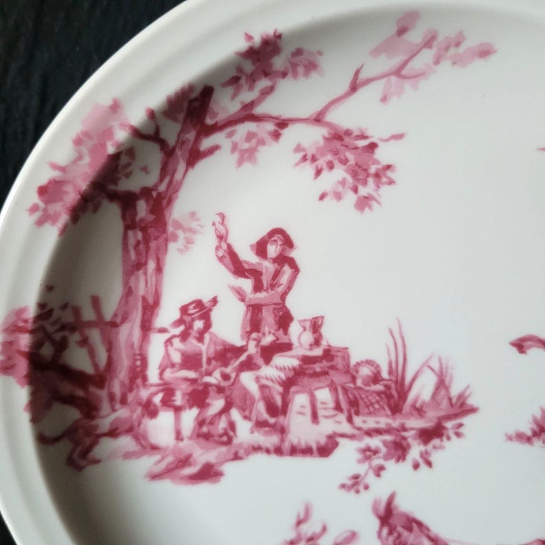 Antique French Aluminite Frugier Pink Toile Decorative Porcelain Plate ...