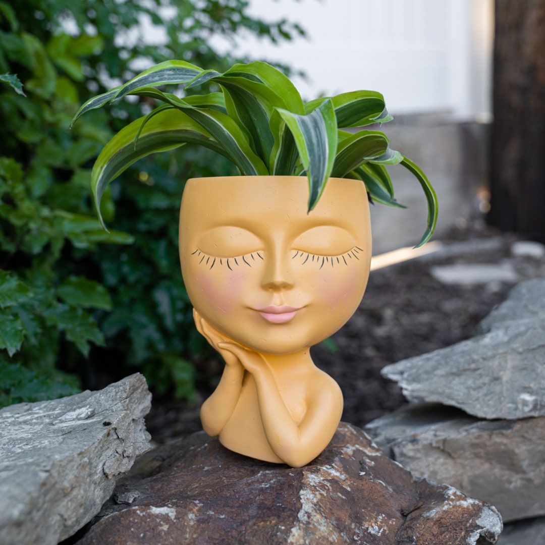 Head Planter - Whimsical 8 Inch Face Plant Pot With Drainage Hole, Plug ...