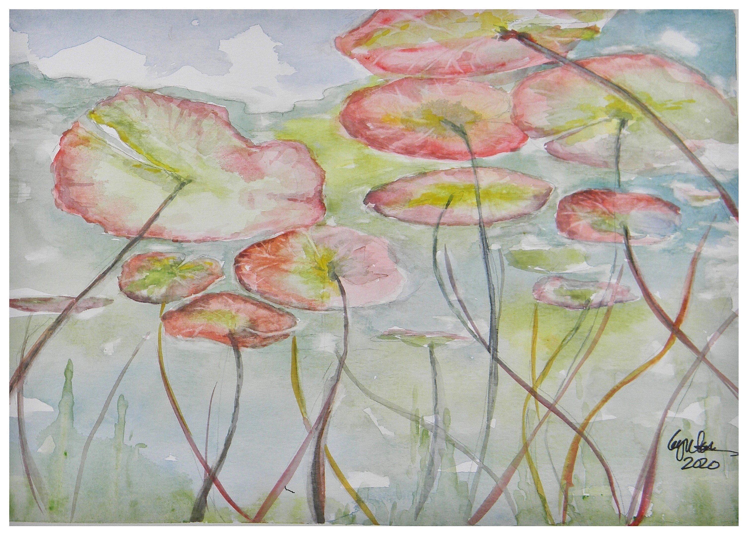 Underwater Translucent Watercolor of Waterlilies - Etsy
