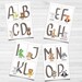 Animal Alphabet Flashcards & Poster Bundle, ABC Flashcards, Alphabet ...