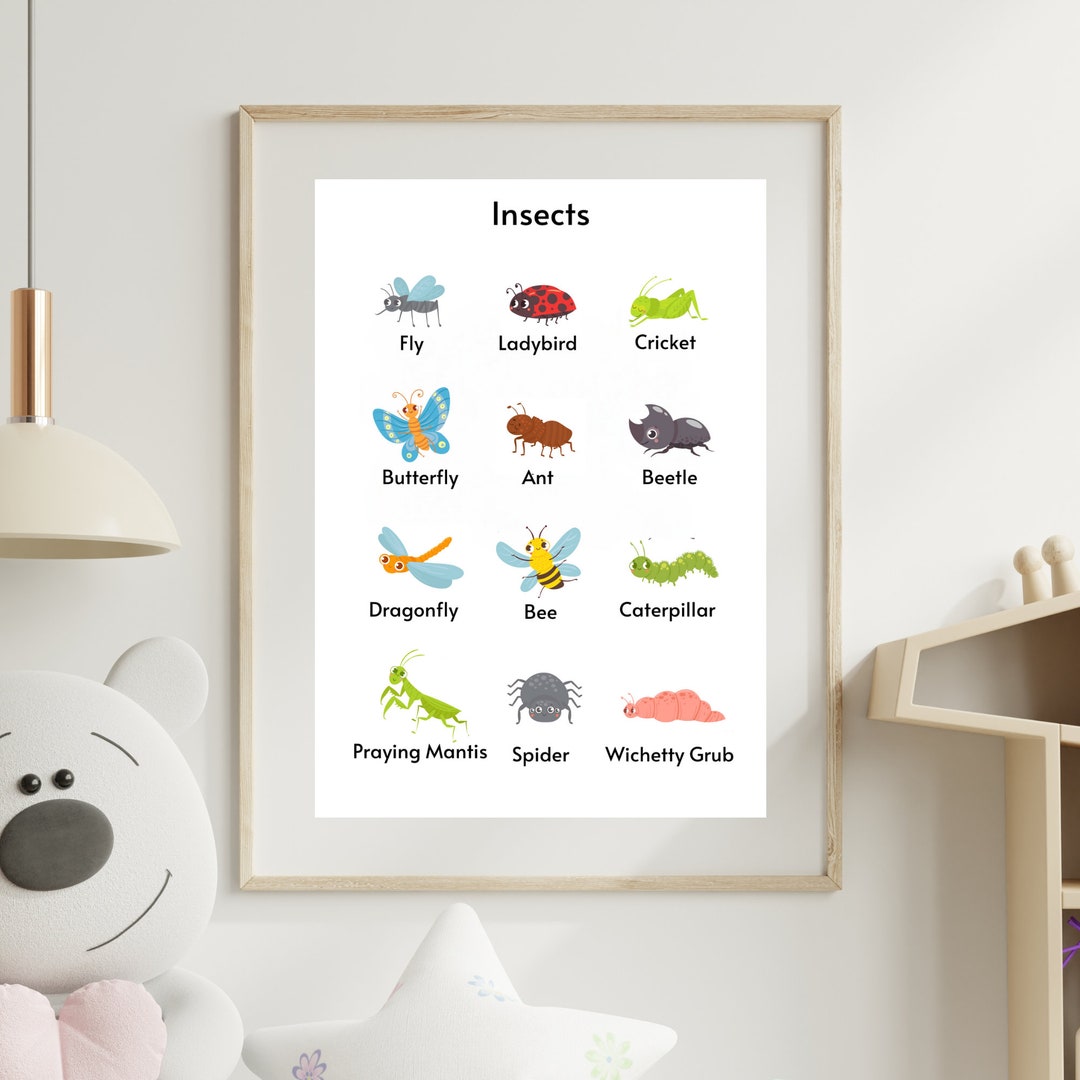 Toddler Learning Poster, Insects Poster, Educational Poster, Toddler ...