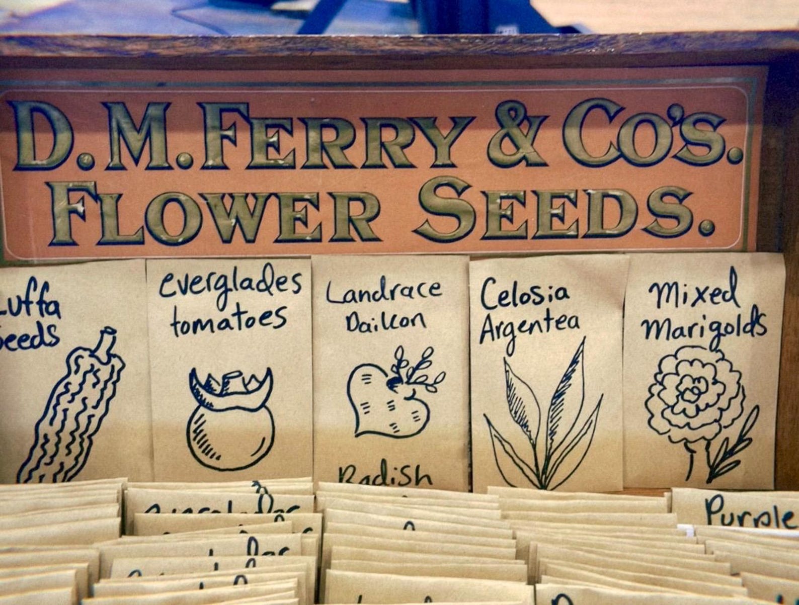Mystery Seed Pack Bundle-organic and Rare Seeds - Etsy