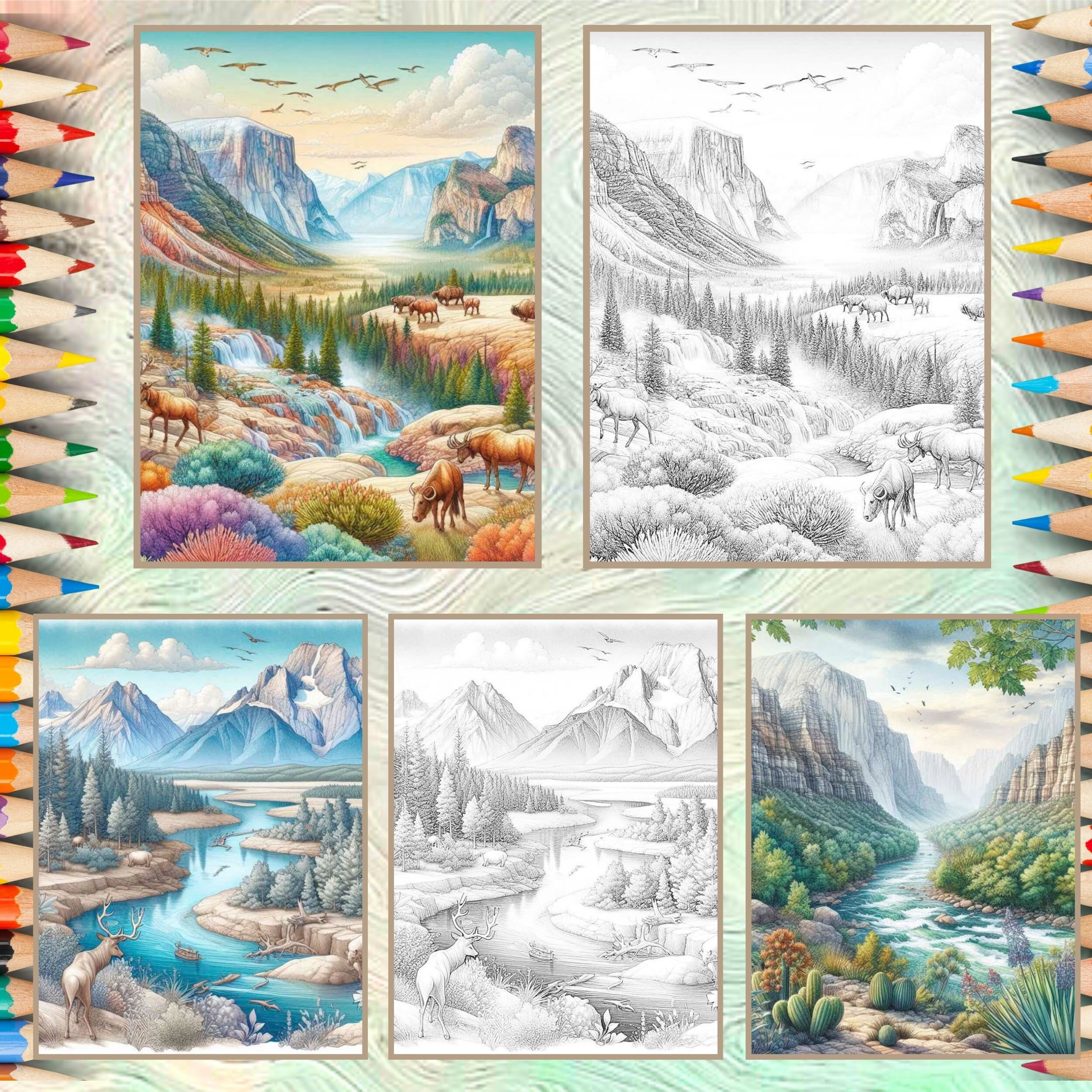 Coloring Book Pages With Beautiful Landscapes, Serene Majestic ...