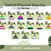 Pride Frog Emotes for Twitch and Discord - Etsy