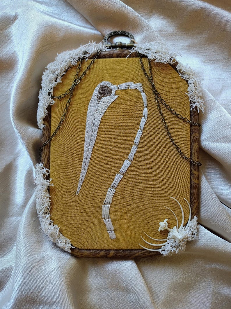 Pelican Skeleton Embroidery - Etsy