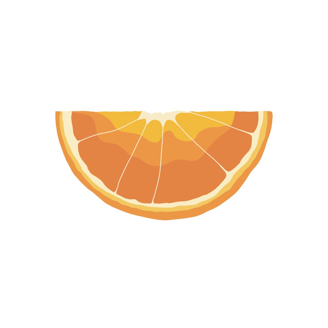 Orange Slice Digital Download Art | Pritntable - Etsy