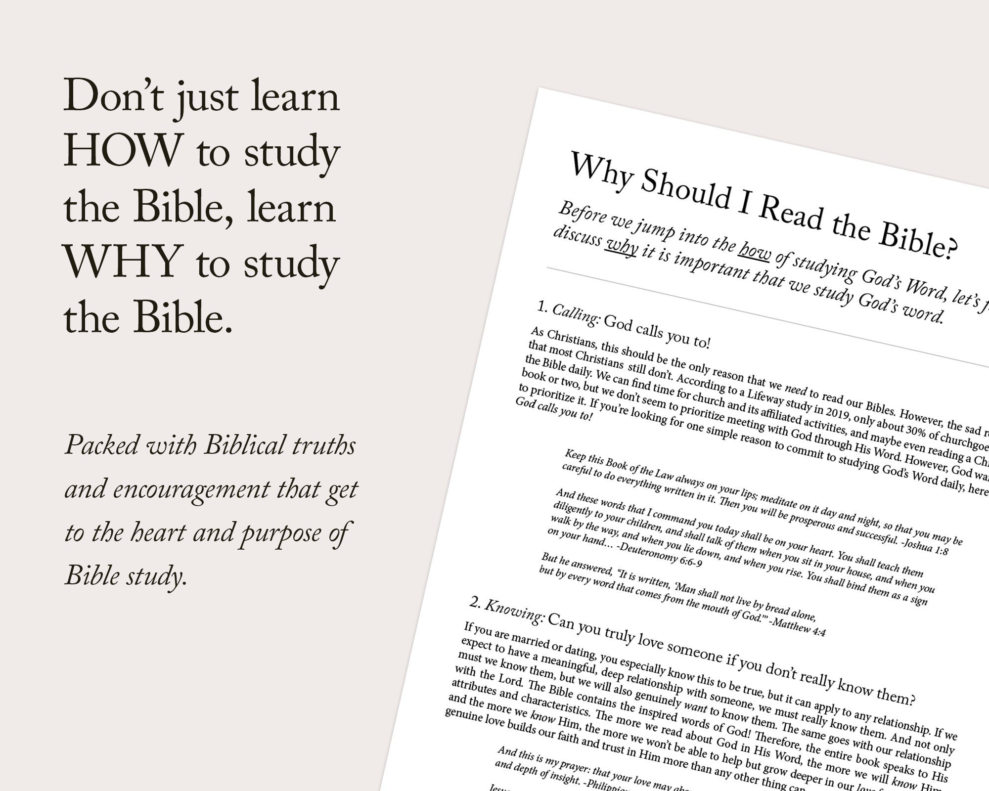 How to Study the Bible Guided Bible Study Workbook + Journal | Bible ...