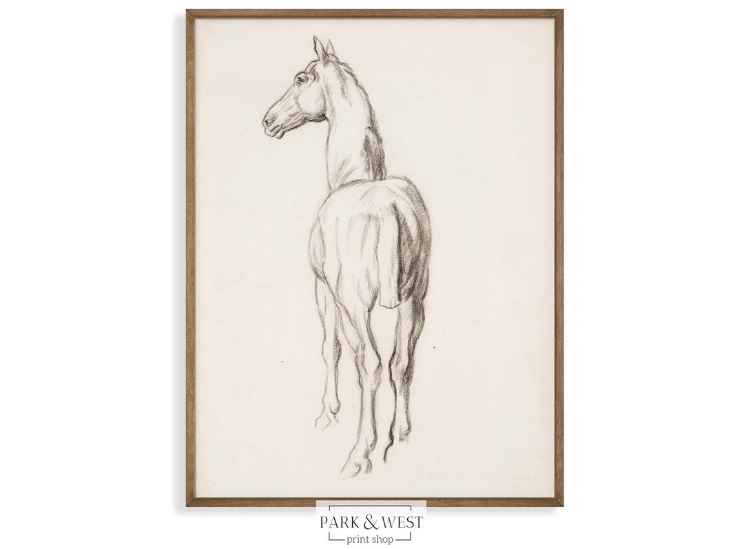 Horse Sketch No. 1 | Digital Printable Art | Antique Equestrian Drawing ...