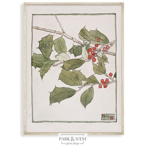 Holly | Digital Printable Art | Vintage Botanical Print | Christmas Art ...