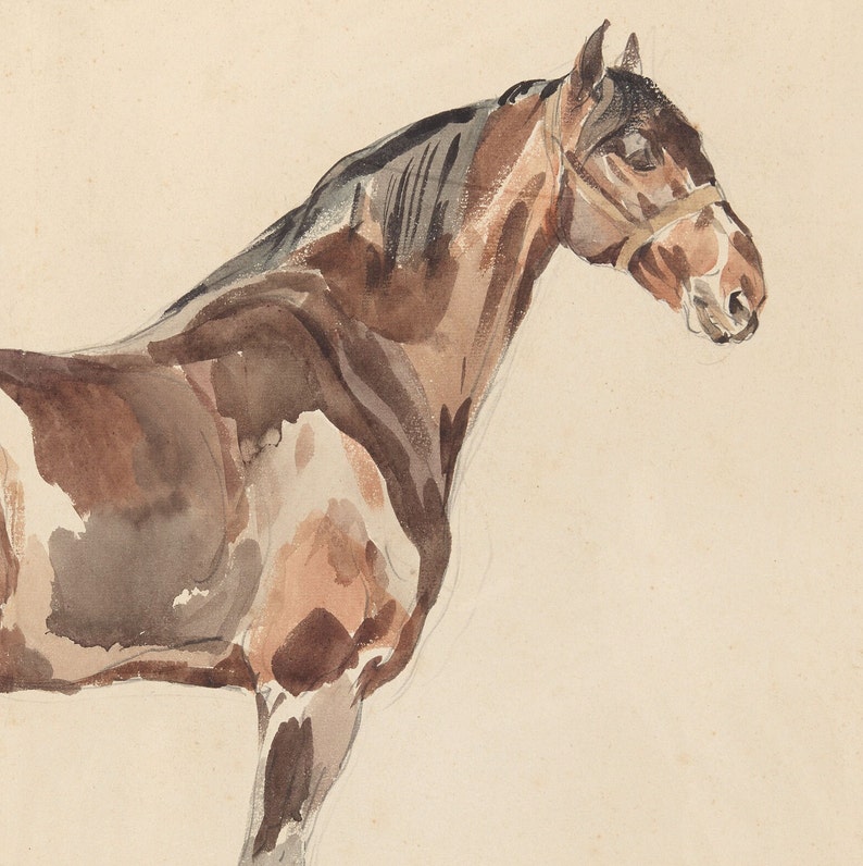 Study of a Horse Digital Printable Art Vintage Watercolor - Etsy