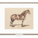 Study of a Horse Digital Printable Art Vintage Watercolor Painting and ...