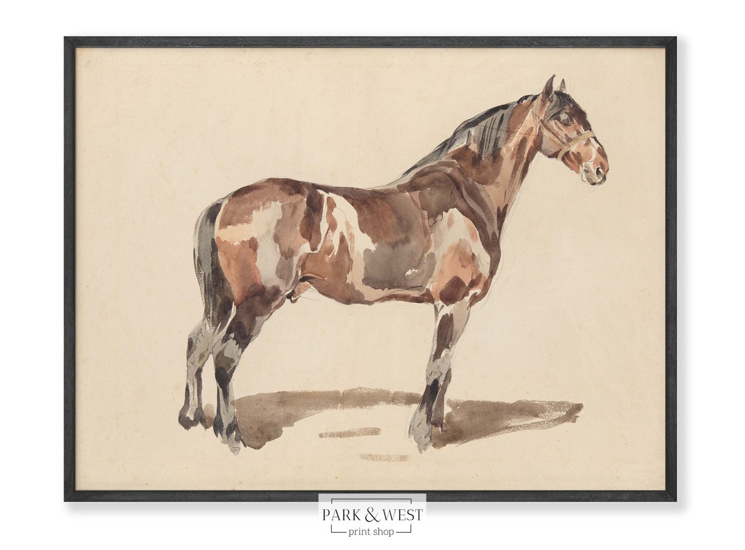 Study of a Horse Digital Printable Art Vintage Watercolor Painting and ...